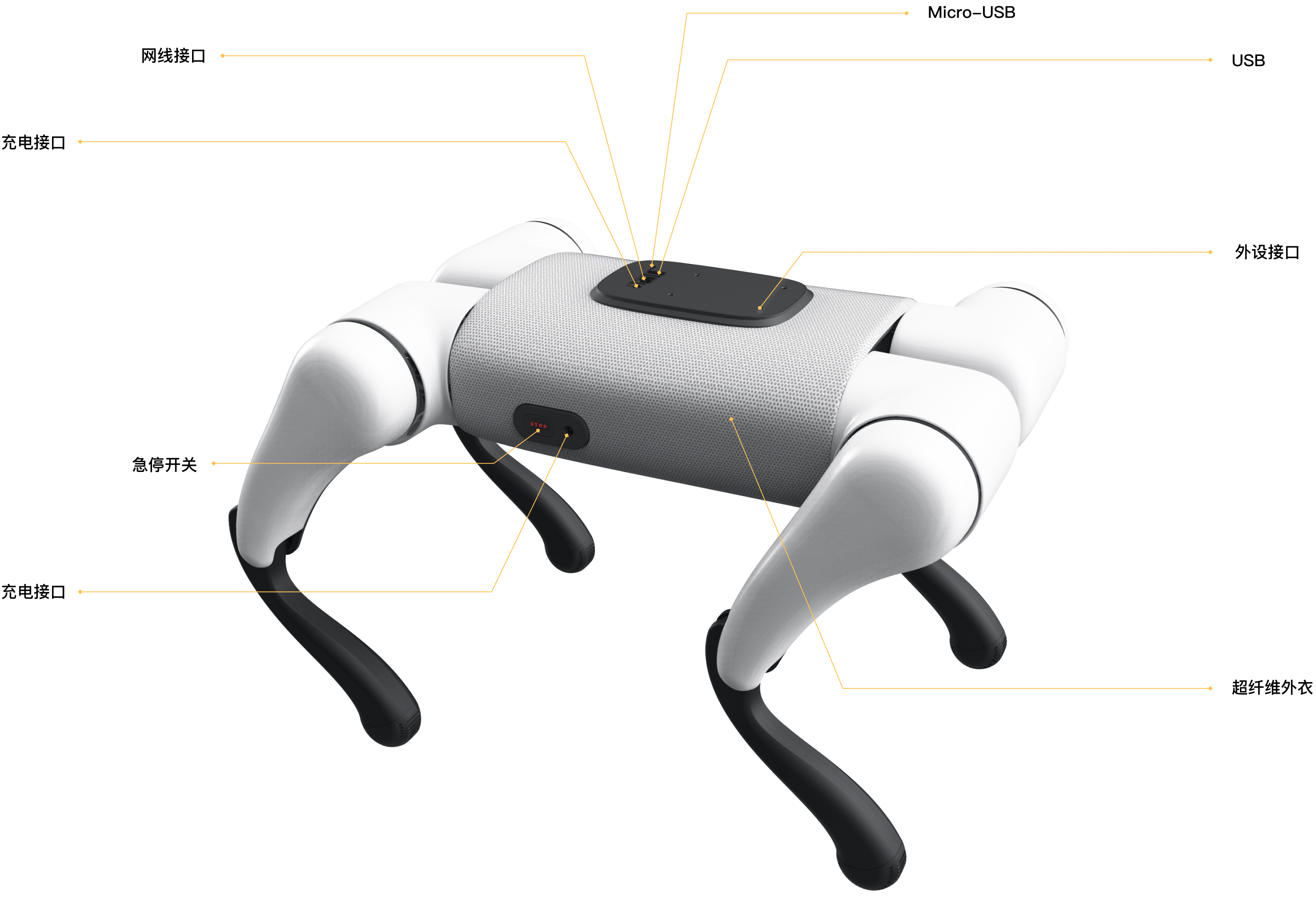 BabyAlpha Dev-Q - WEILAN-BabyAlpha Dev-Q - WEILAN